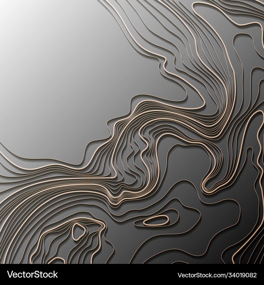 Map line topography abstract topographic Vector Image