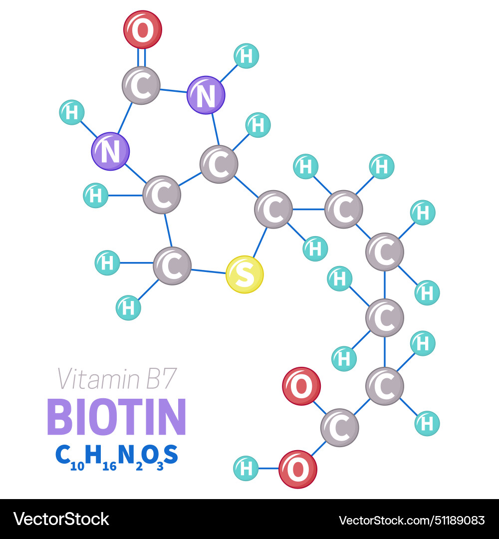 Biotin vitamin b7 molecule structure Royalty Free Vector