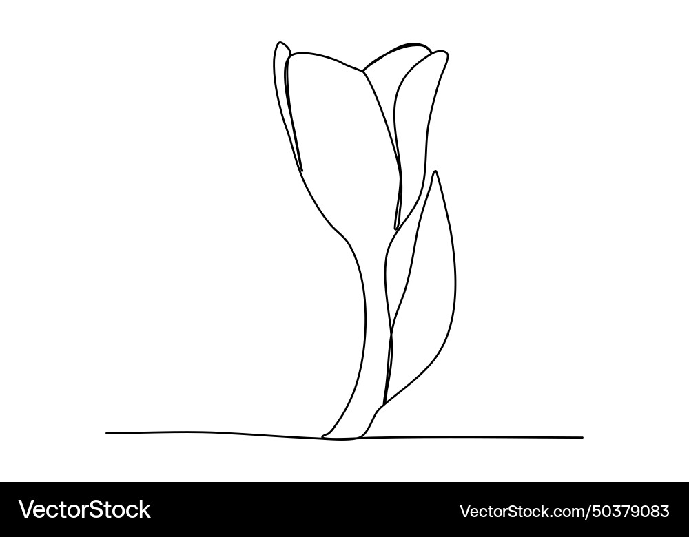 Flower one line drawing Royalty Free Vector Image