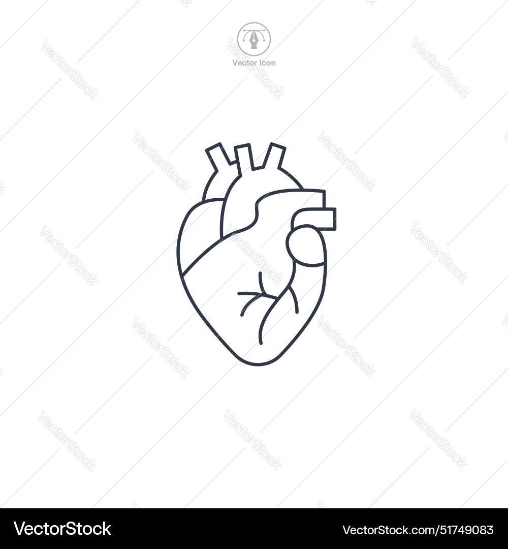 Human heart icon symbol isolated on white Vector Image