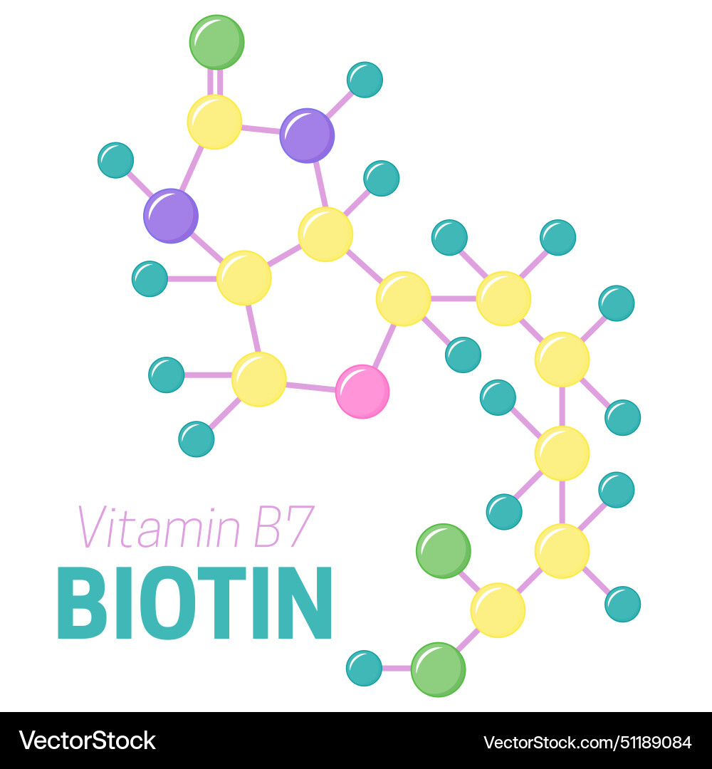 Biotin vitamin b7 molecule Royalty Free Vector Image
