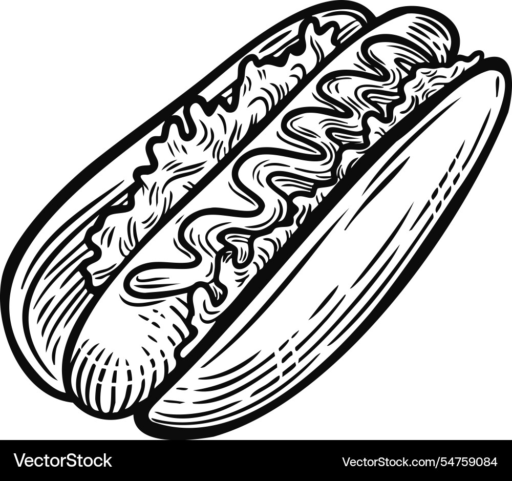 Hot dog fast food line drawing Royalty Free Vector Image