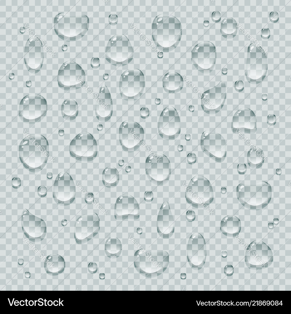 Water drops Royalty Free Vector Image - VectorStock
