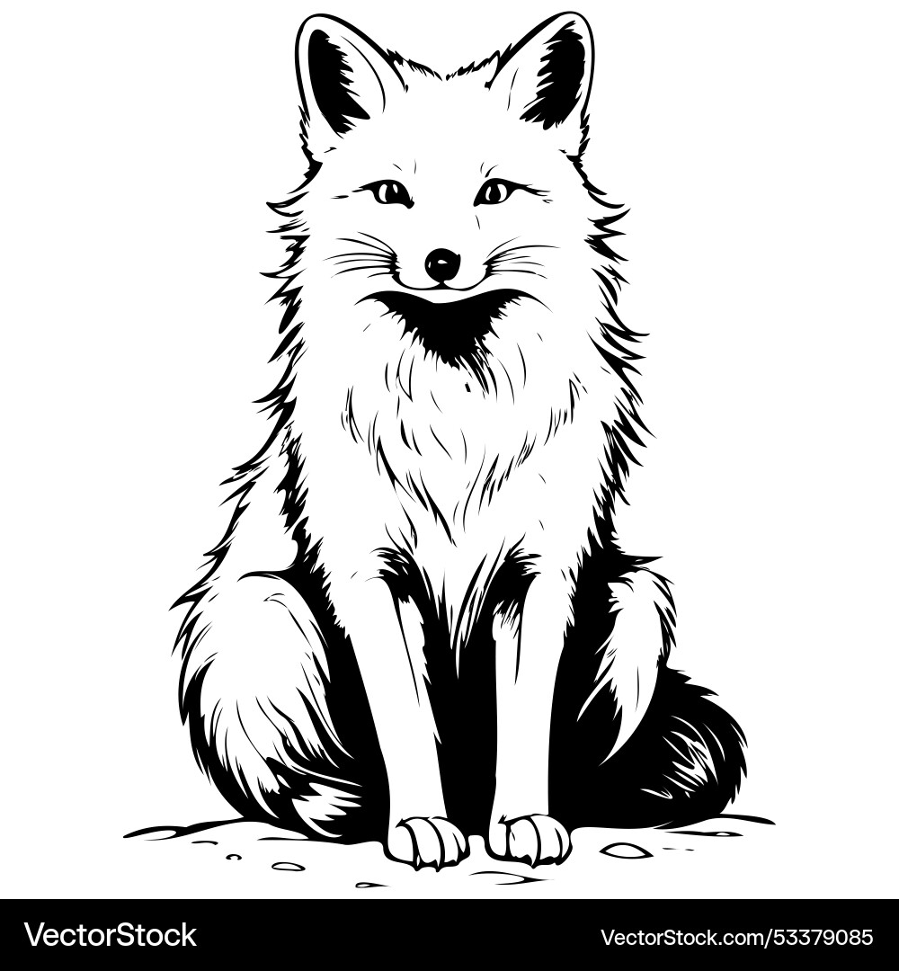 Arctic fox sitting ink hand drawn animal – Royalty-Free Vector ...
