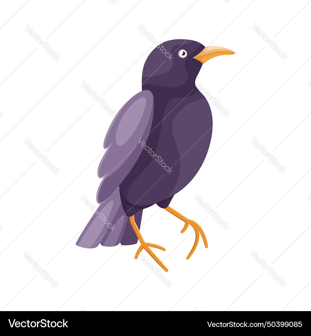 Cartoon flat of thrush bird Royalty Free Vector Image