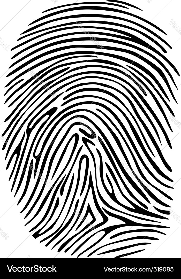 Fingerprint Royalty Free Vector Image - VectorStock