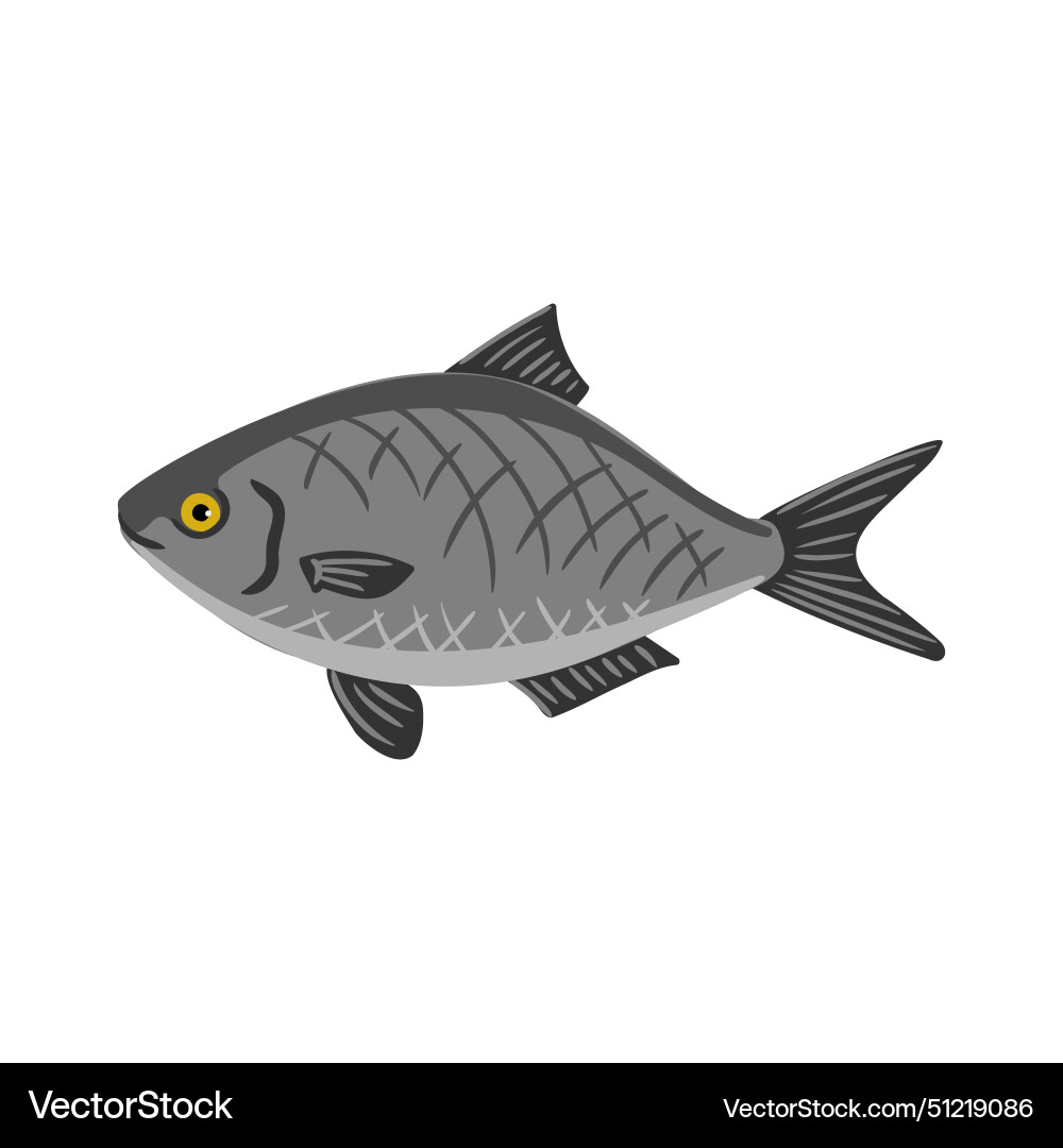 Drawing fish freshwater bream Royalty Free Vector Image