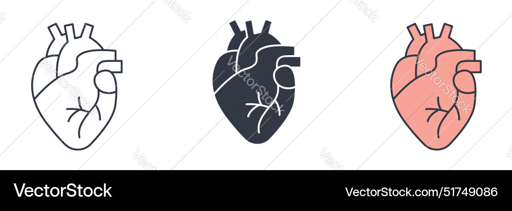 Human heart icon symbol isolated on white Vector Image