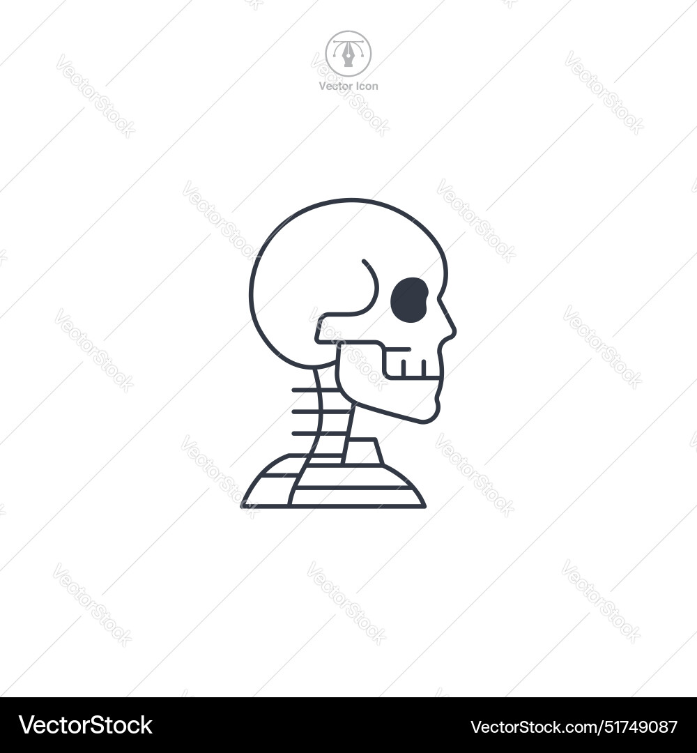 Human skeleton icon symbol isolated on white Vector Image