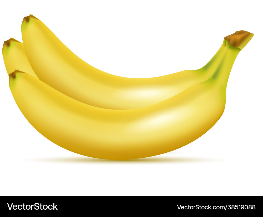 Banana path with isolated background eps 10 Vector Image