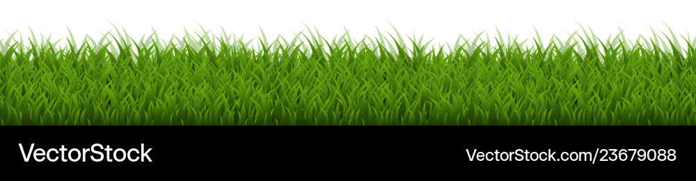 Grass border isolated Royalty Free Vector Image