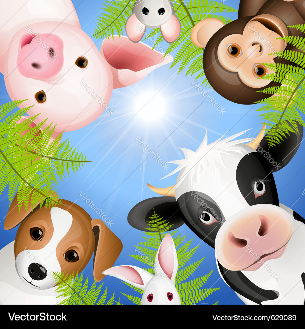 Curious animals Royalty Free Vector Image - VectorStock
