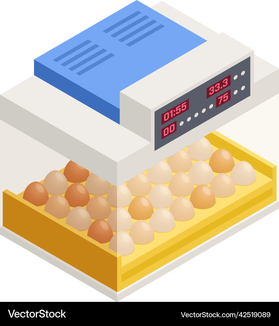 Egg incubator box composition Royalty Free Vector Image