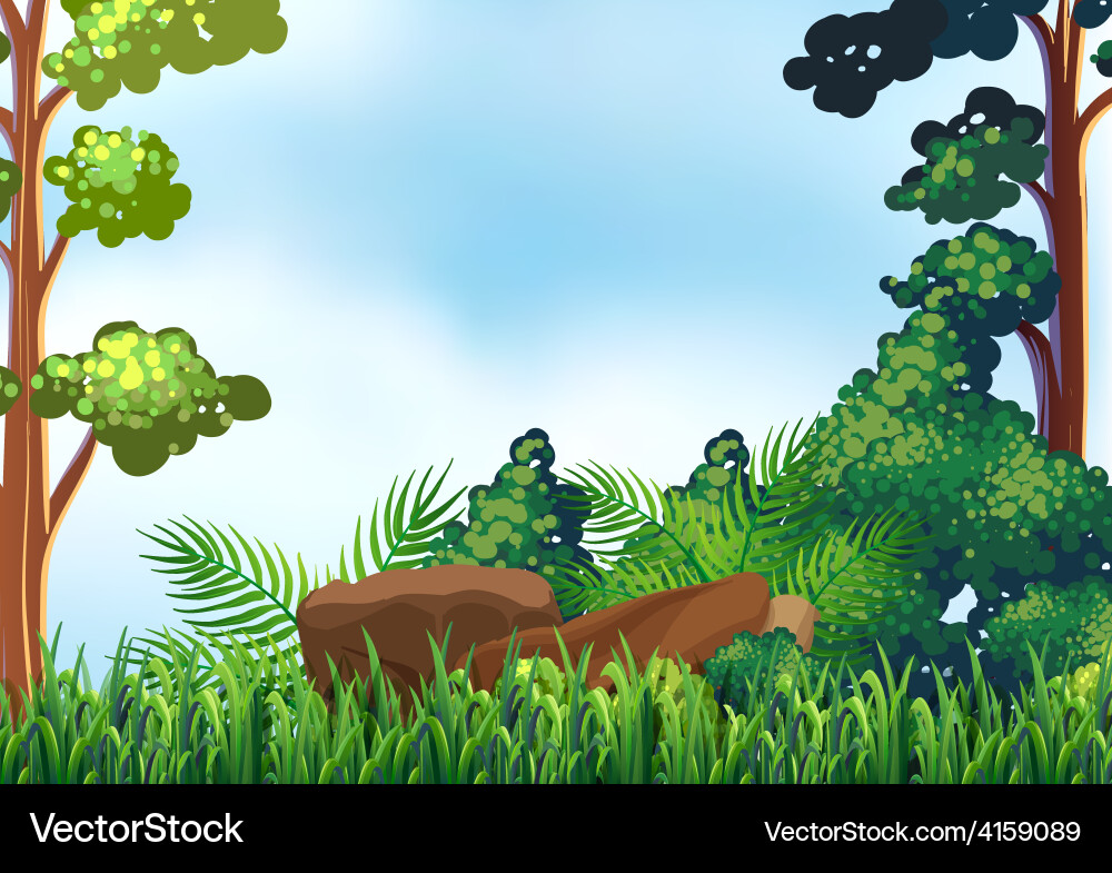 Forest Royalty Free Vector Image - VectorStock