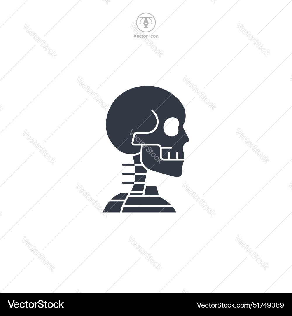 Human skeleton icon symbol isolated on white Vector Image