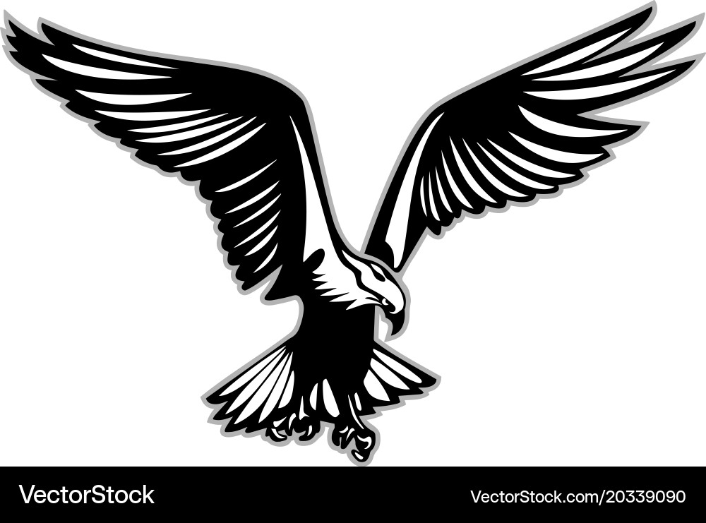 Bird of prey in flight Royalty Free Vector Image