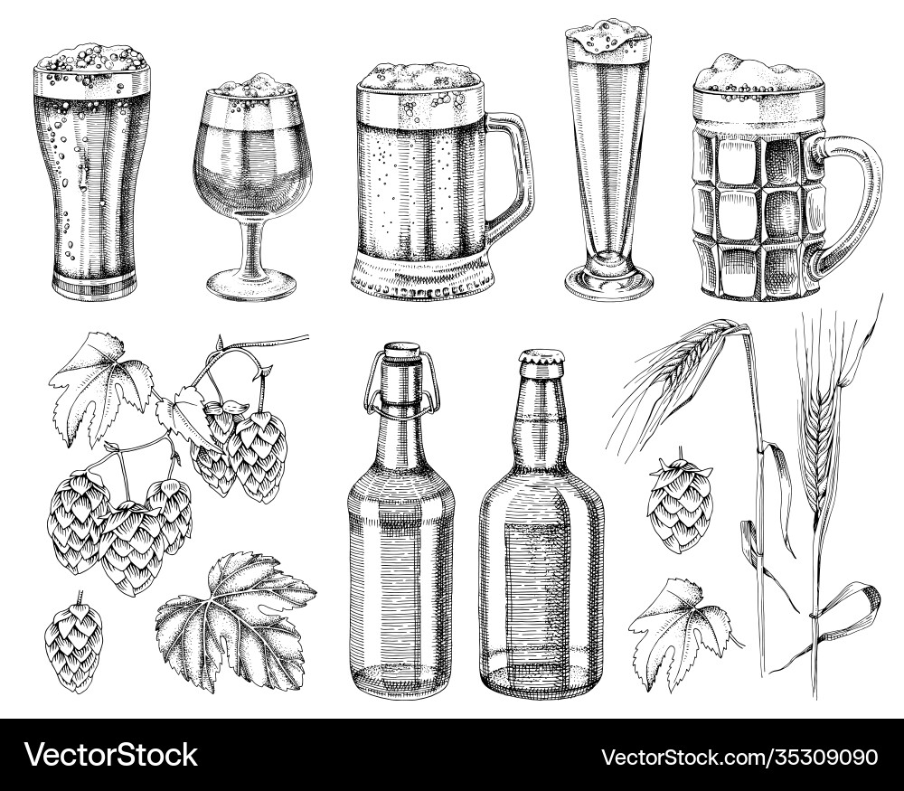 Hand-Drawn Beer Elements Sketch Royalty Free Vector Image