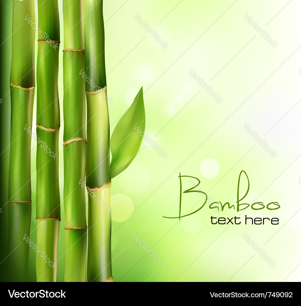Bamboo background Royalty Free Vector Image - VectorStock