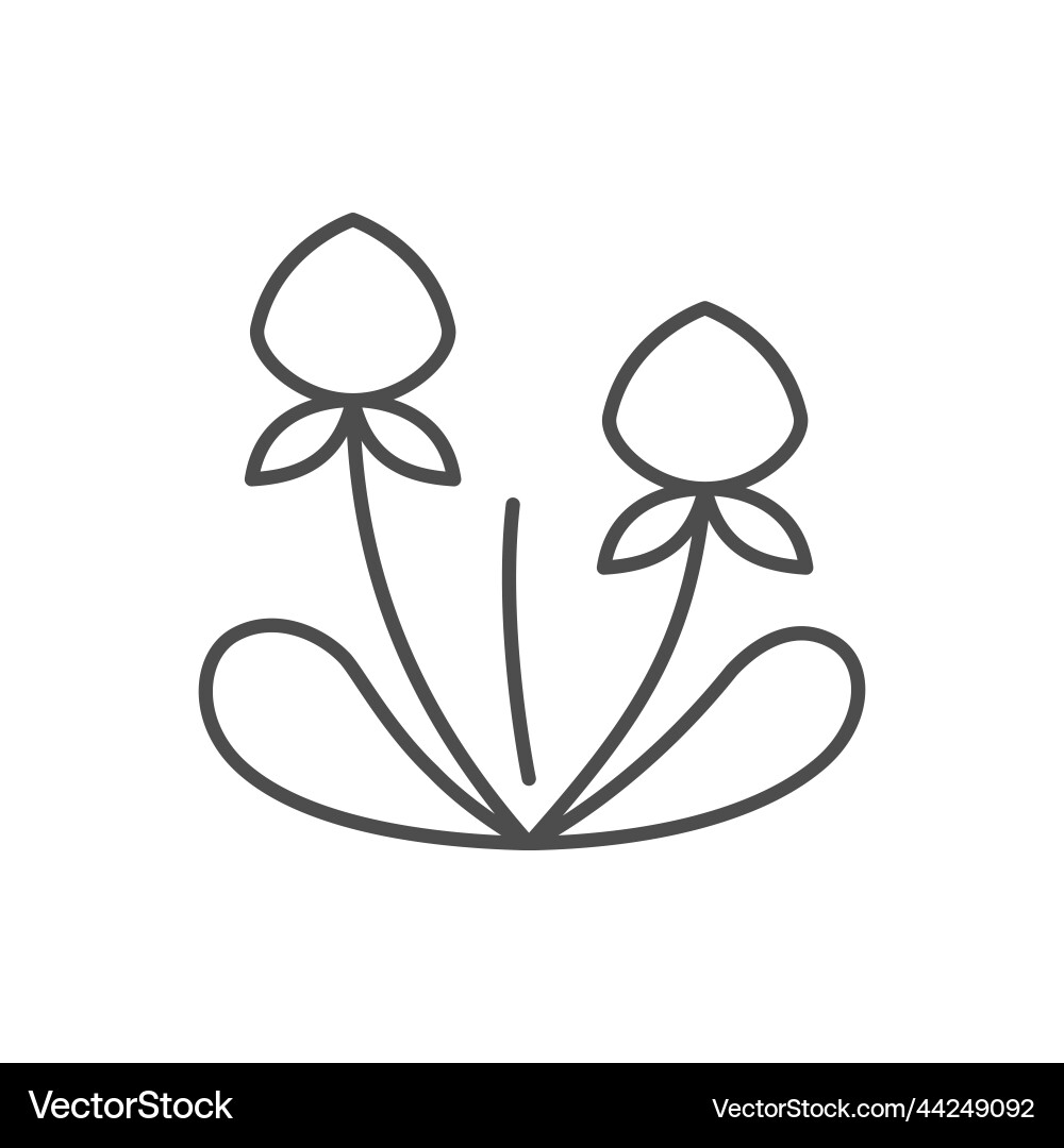 Clover plant line outline icon Royalty Free Vector Image