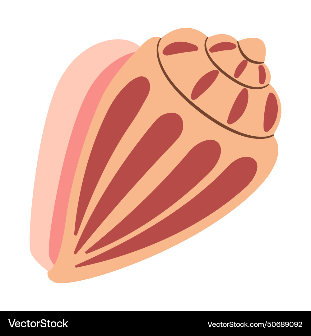 Cone seashell hand drawn cartoon style flat Vector Image