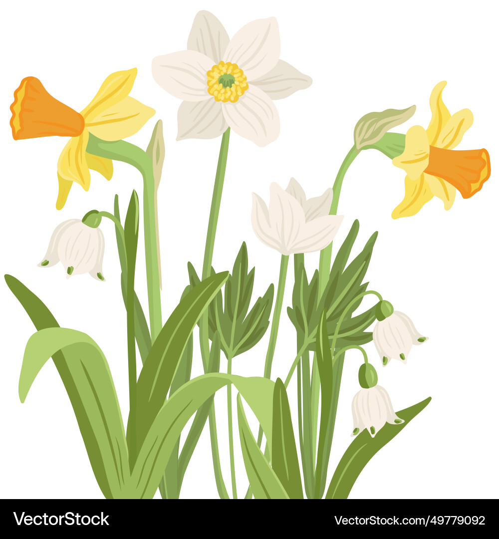 Drawing spring flowers Royalty Free Vector Image