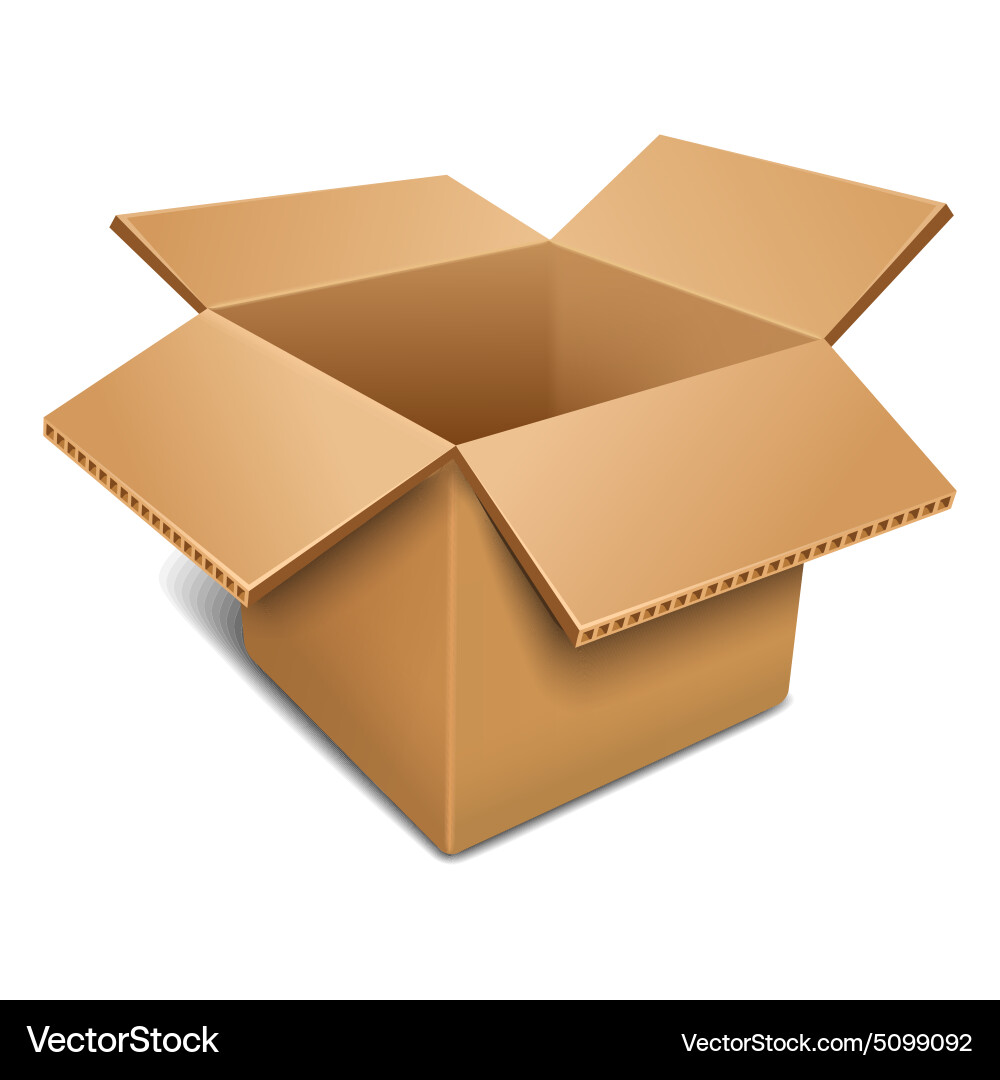Empty open cardboard box Royalty Free Vector Image