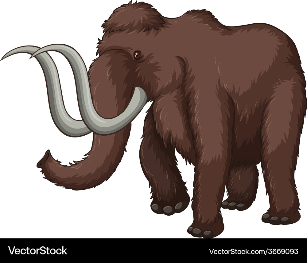 Elephant Royalty Free Vector Image - VectorStock