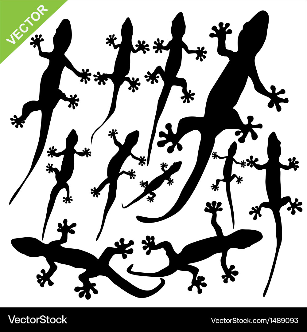 Gecko Vector Images (over 5,600)