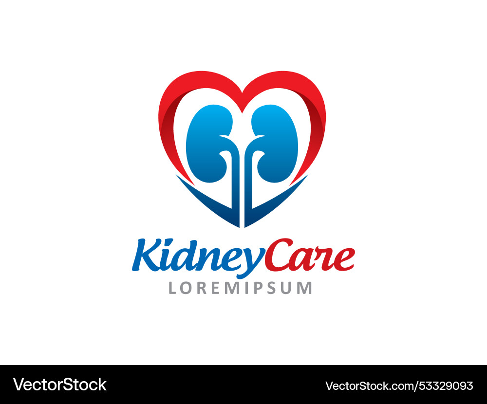 Kidney care logo symbol or icon template Vector Image