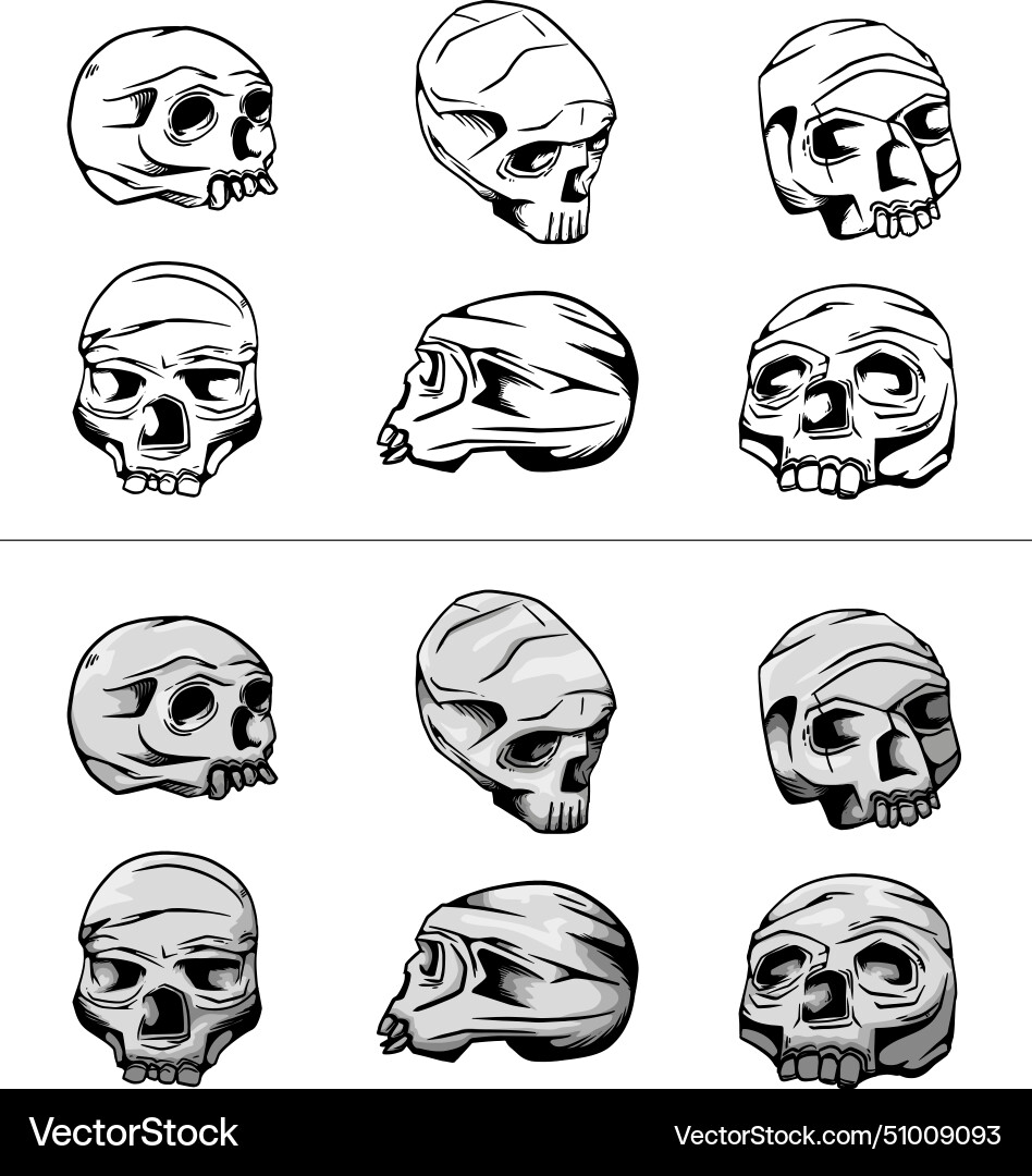 Skulls Royalty Free Vector Image - VectorStock