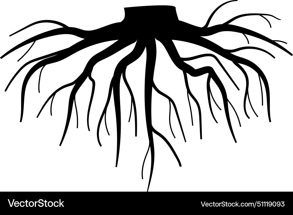Stability tree root cartoon Royalty Free Vector Image
