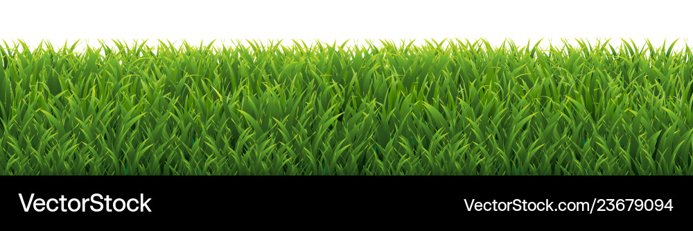 Lush Green Grass Background Royalty Free Vector Image