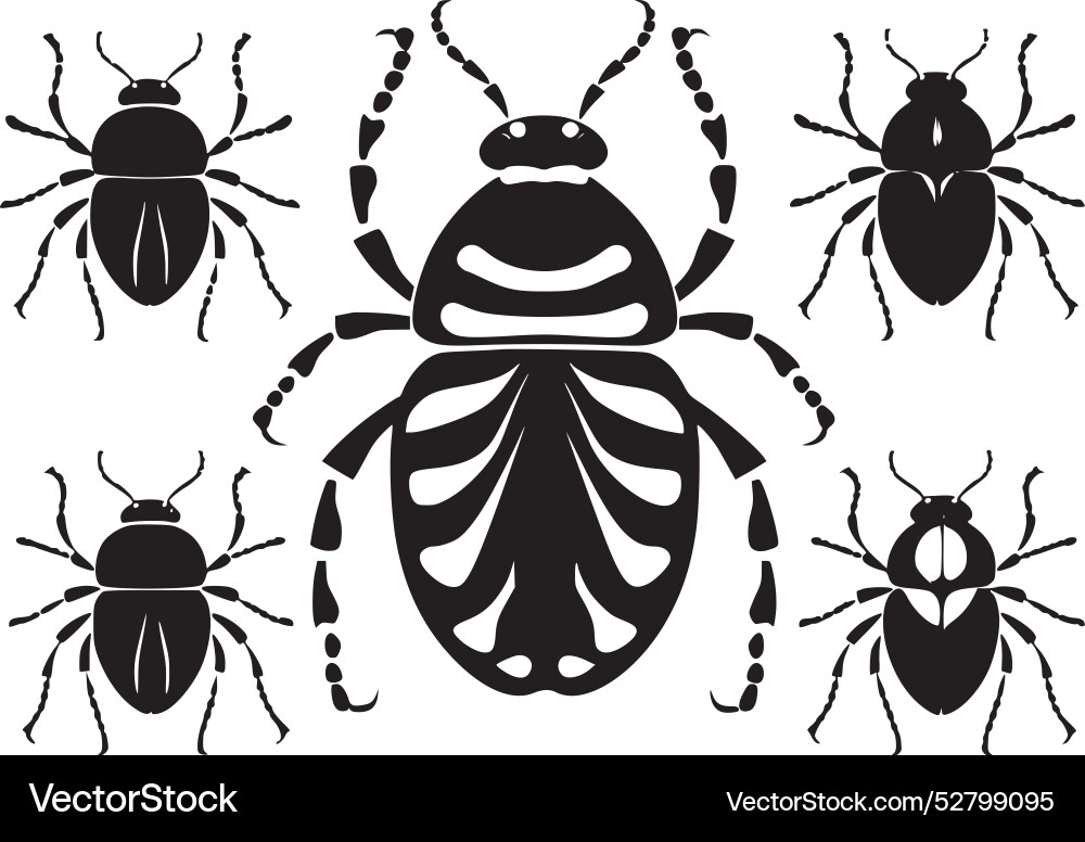 Bug insect Royalty Free Vector Image - VectorStock Bug insect Royalty Free Vector Image - VectorStock