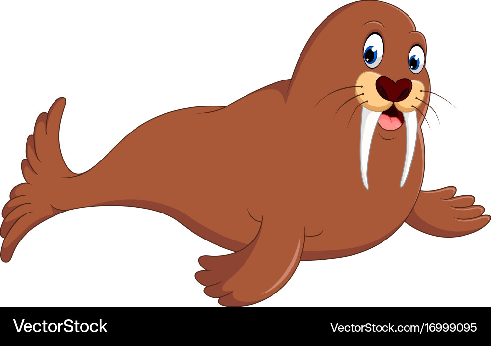 Cute walrus cartoon Royalty Free Vector Image - VectorStock