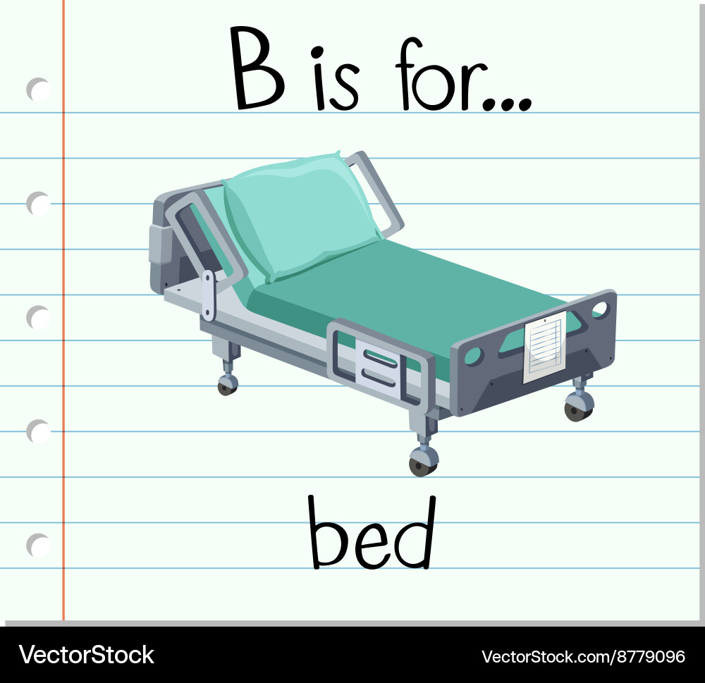 Alphabet Flashcard: Bed Royalty Free Vector Image