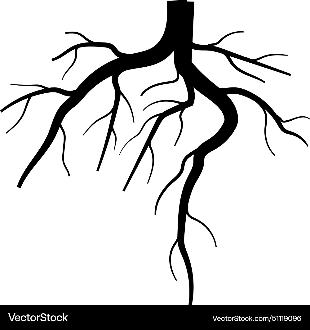 Underground tree root cartoon Royalty Free Vector Image