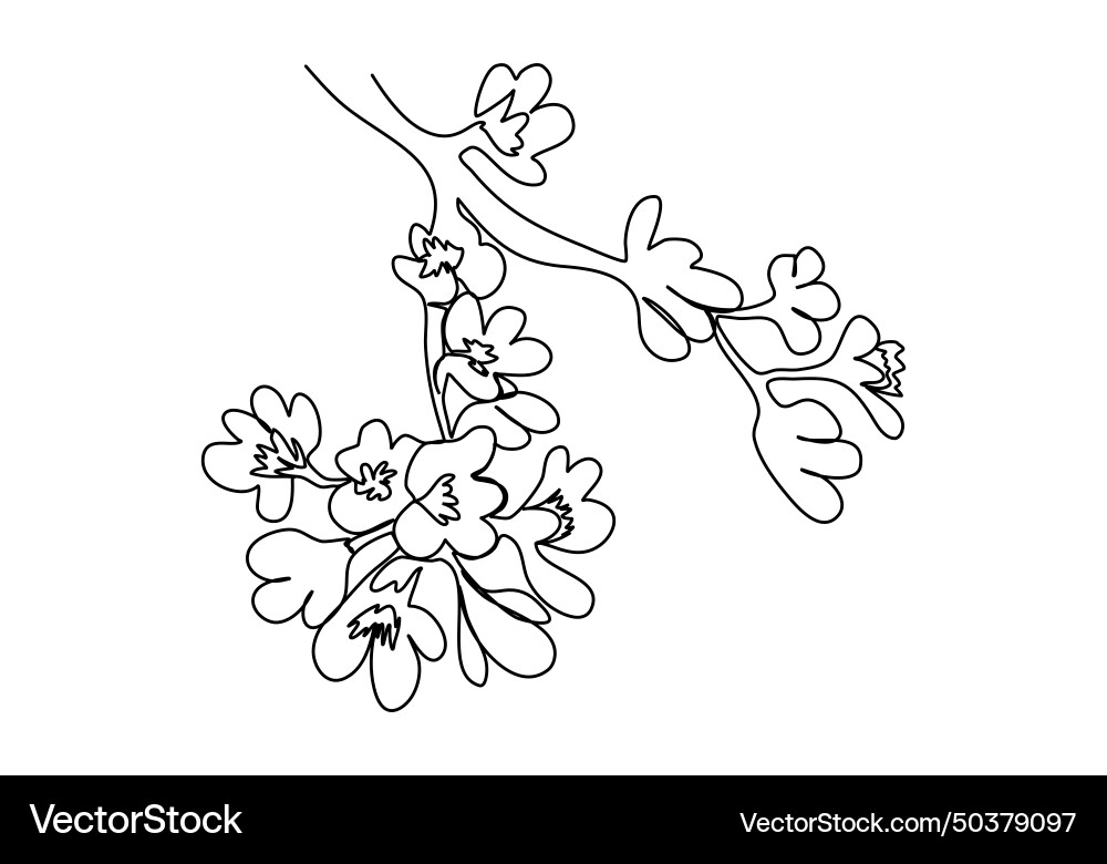 Cherry blossom one line drawing Royalty Free Vector Image