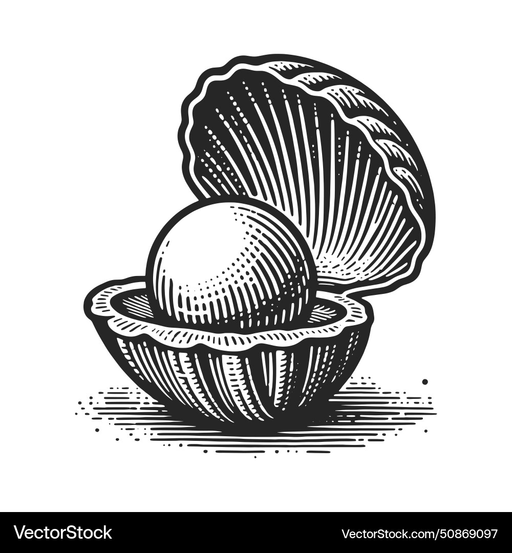 Pearl in open oyster shell engraving Royalty Free Vector