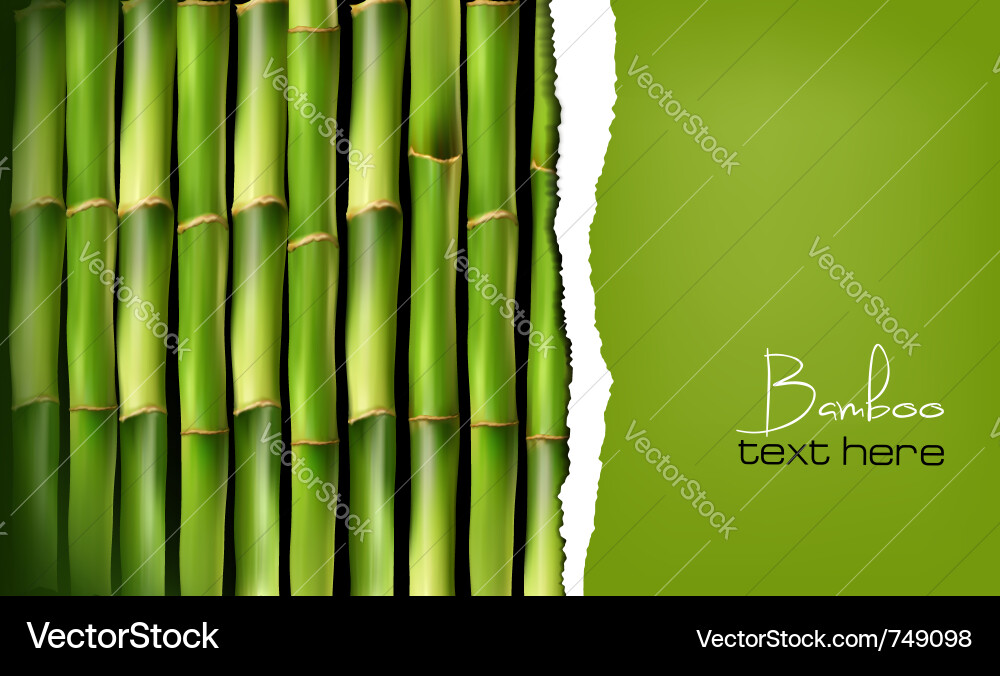 Bamboo background Royalty Free Vector Image - VectorStock