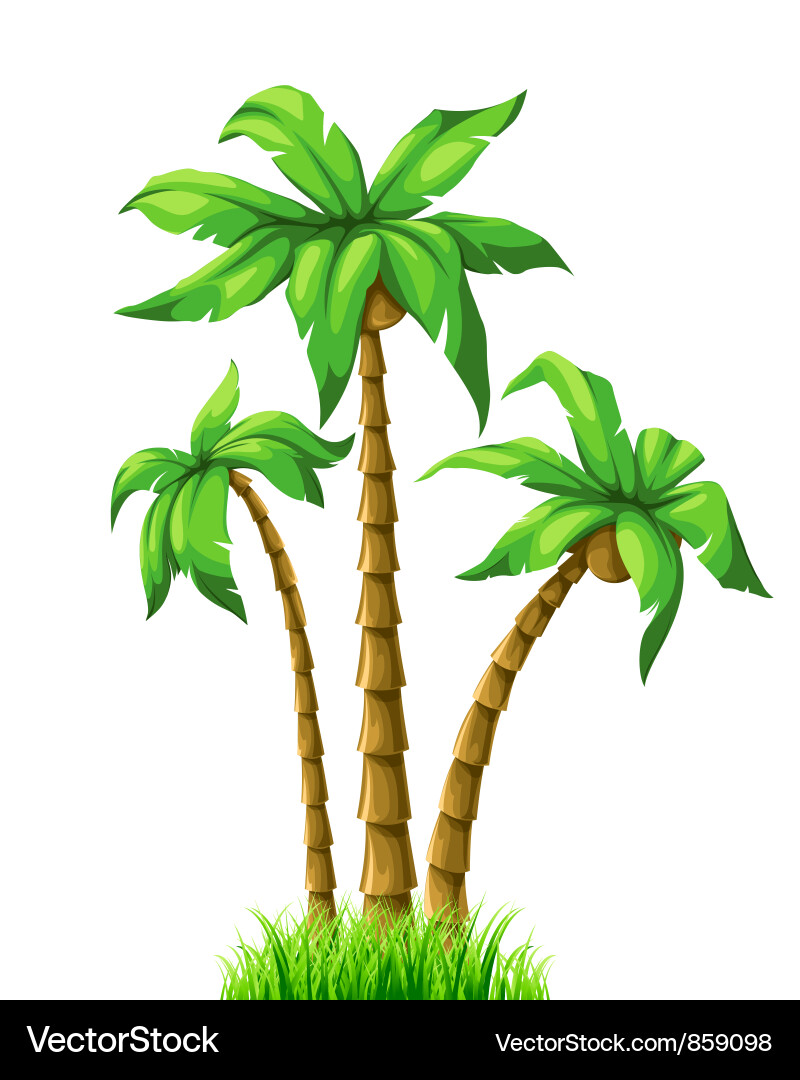 Palm Trees Summer Scene Royalty Free Vector Image
