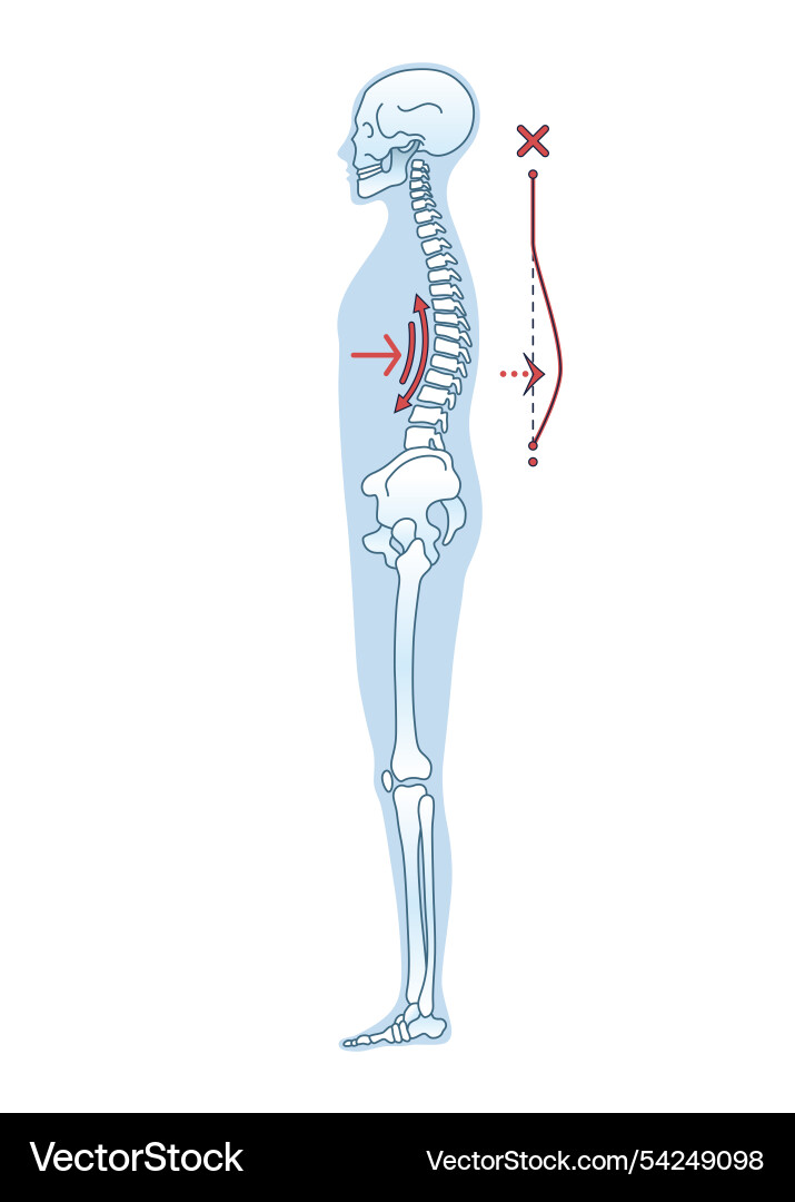 Standing posture for achieving better health Vector Image