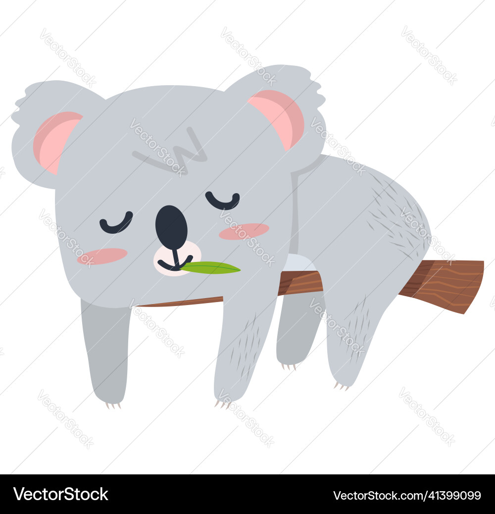 Cute cartoon koala on tree Royalty Free Vector Image