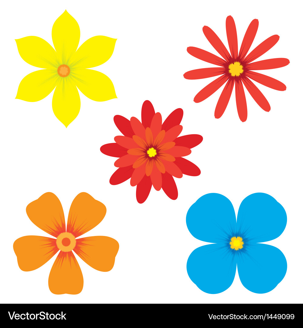 Flowers Royalty Free Vector Image - VectorStock