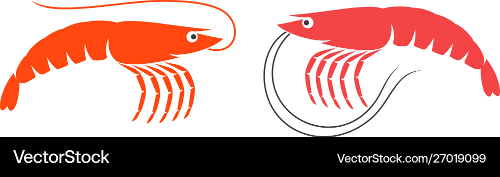 Shrimp Royalty Free Vector Image - VectorStock
