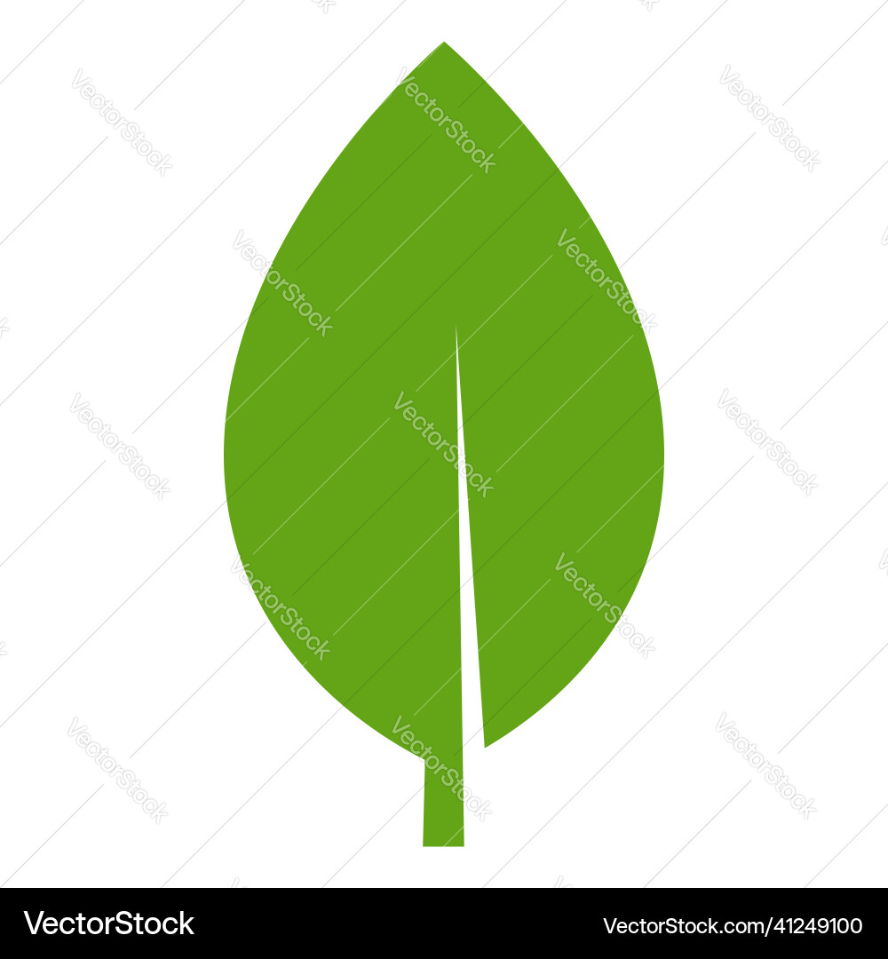 Eco green color leaf logo flat icon isolated Vector Image
