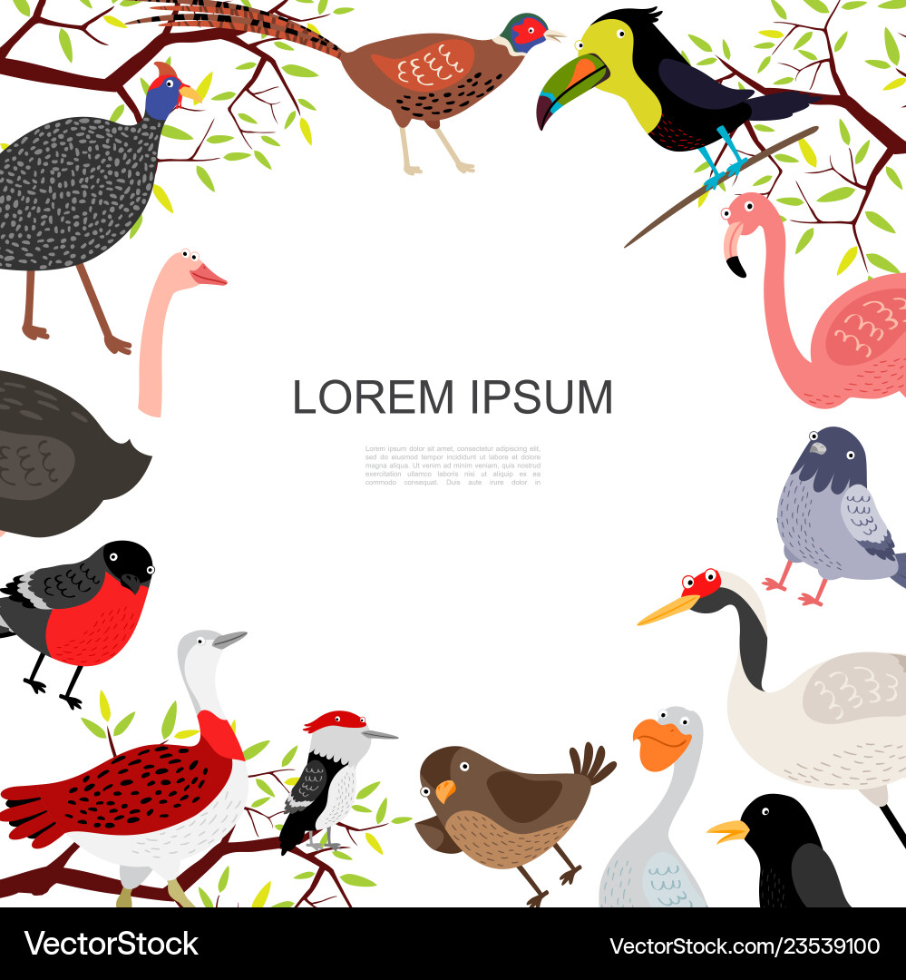 Flat beautiful birds template Royalty Free Vector Image