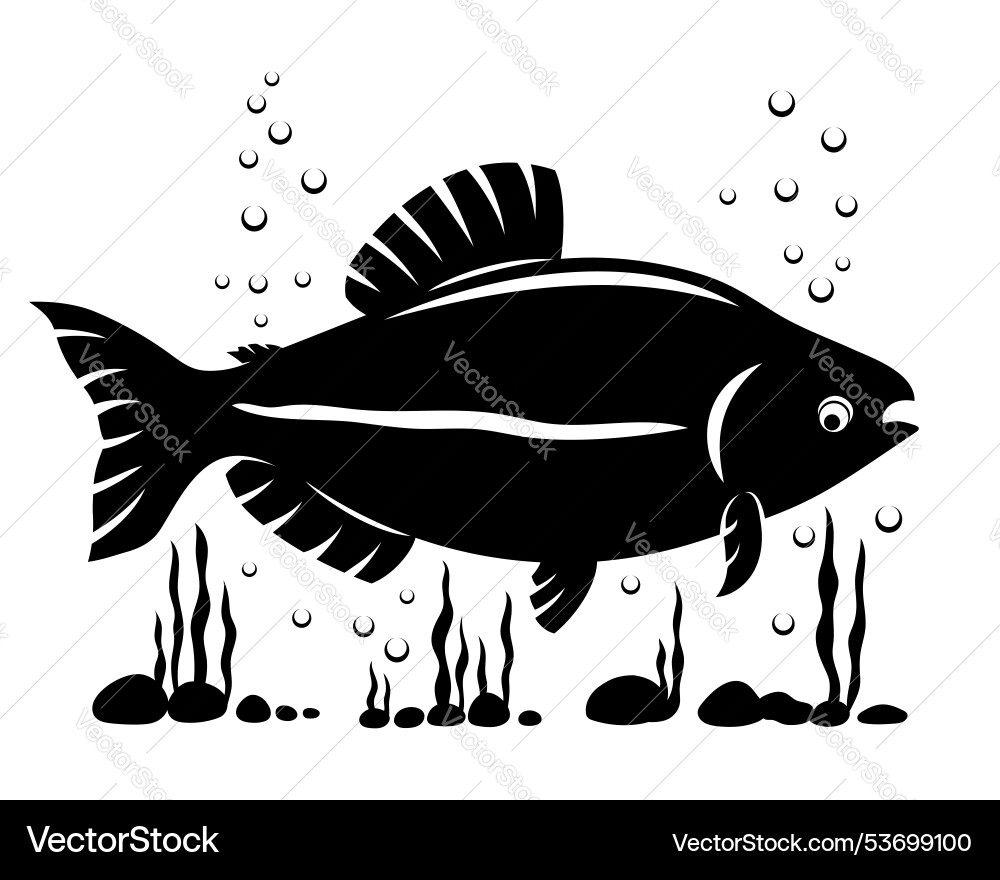 Monochrome icon fish underwater Royalty Free Vector Image