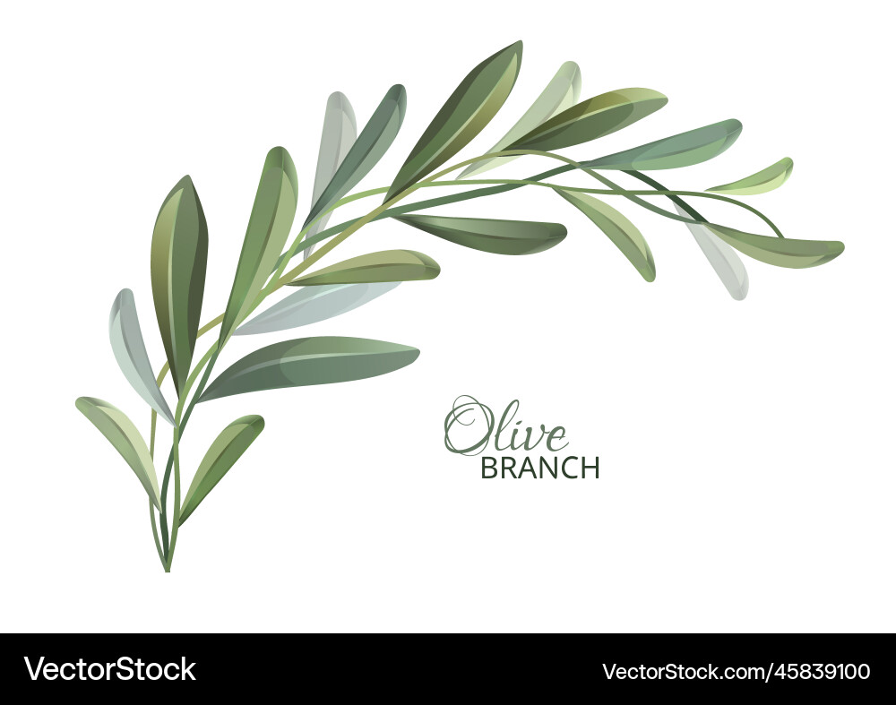 Olive Tree Branch Artificial Olive Tree 1.8m Order Online In UAE