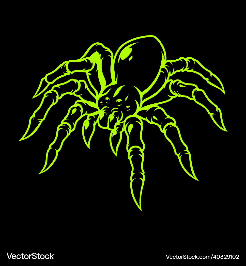 Spider logo Royalty Free Vector Image - VectorStock