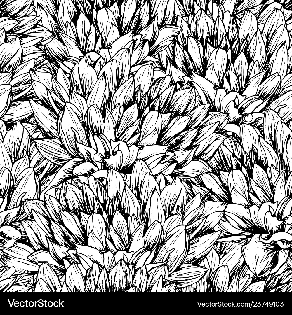 Peony flower seamless pattern Royalty Free Vector Image
